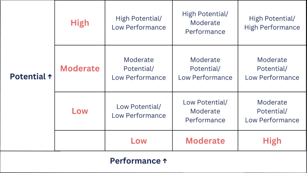 Take Your Talent Management to the Next Level with 9 Box Model